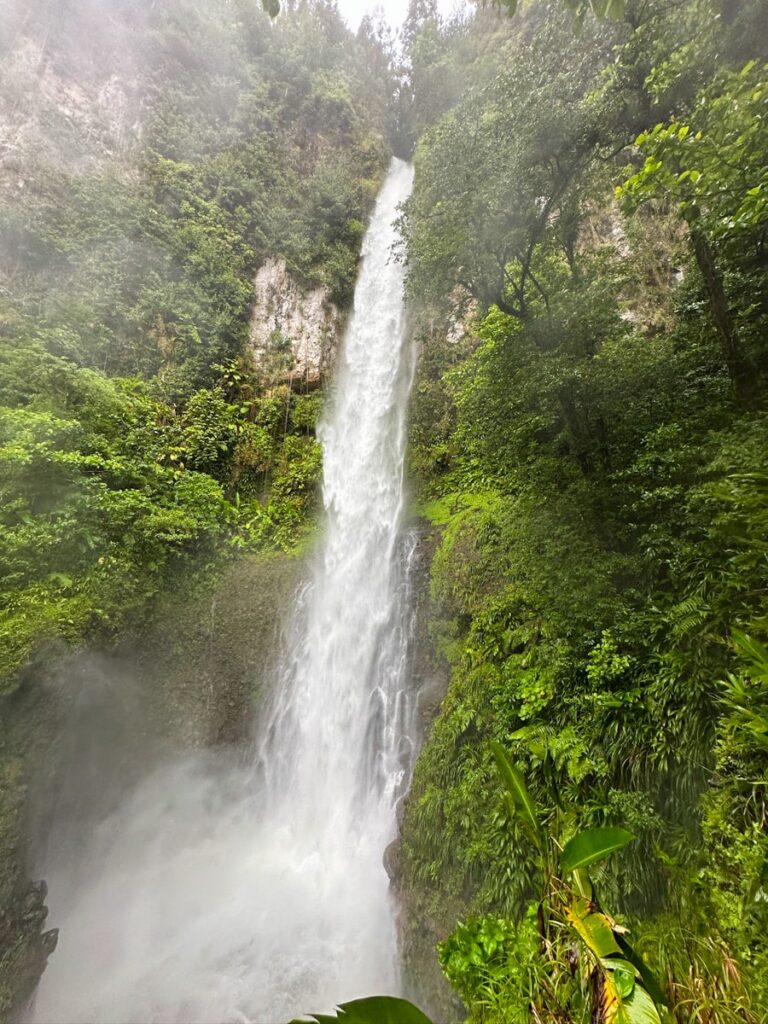 12 Stunning Waterfalls in Dominica: Which Falls Should You Visit?
