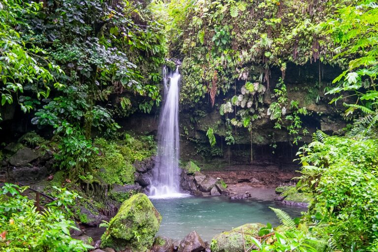 12 Stunning Waterfalls in Dominica: Which Falls Should You Visit?