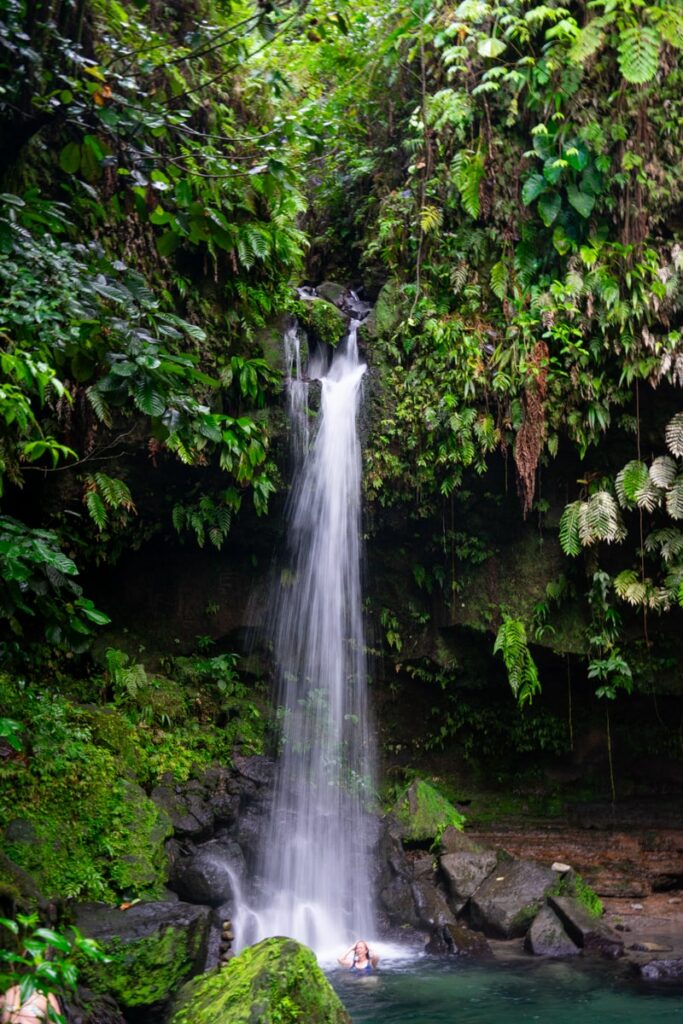 Emerald Pool Falls: Dominica's Lush Swimming Hole