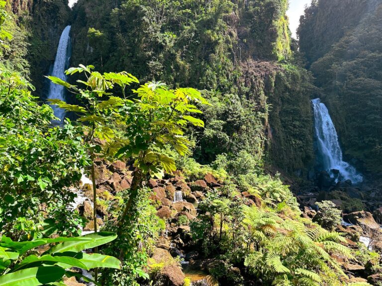 12 Stunning Waterfalls in Dominica: Which Falls Should You Visit?