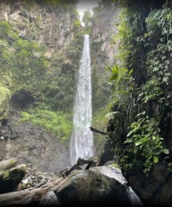 12 Stunning Waterfalls in Dominica: Which Falls Should You Visit?