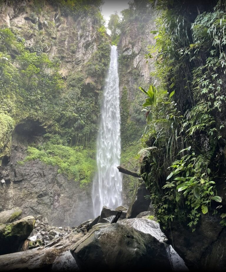 12 Stunning Waterfalls in Dominica: Which Falls Should You Visit?