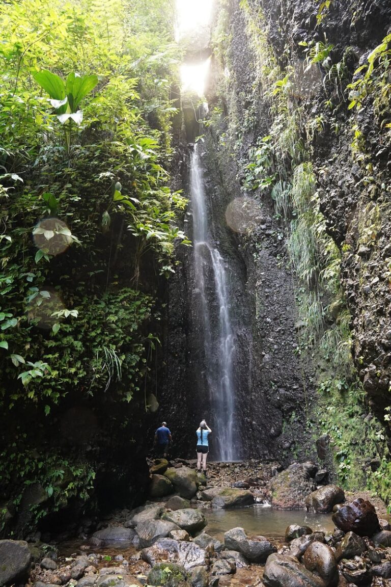 12 Stunning Waterfalls in Dominica: Which Falls Should You Visit?