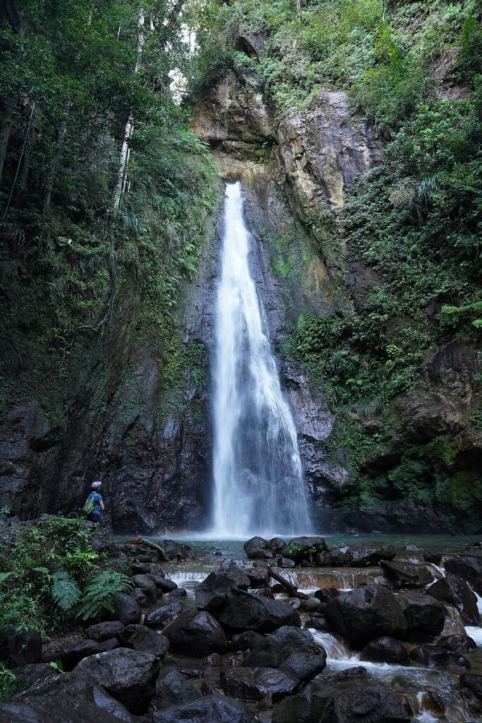 12 Stunning Waterfalls in Dominica: Which Falls Should You Visit?