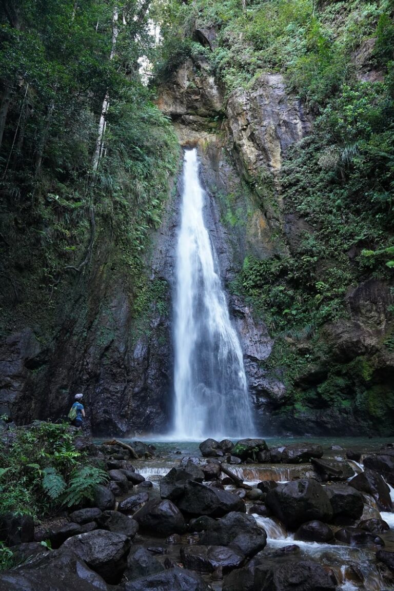 12 Stunning Waterfalls in Dominica: Which Falls Should You Visit?